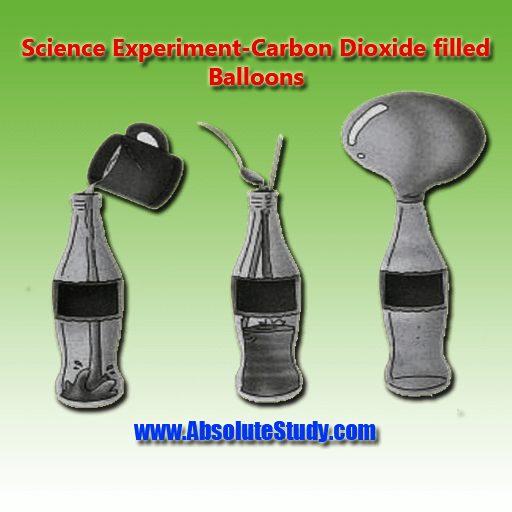Science Experiment “Carbon Dioxide filled Balloons”,“कार्बन डाइऑक्साइड ...